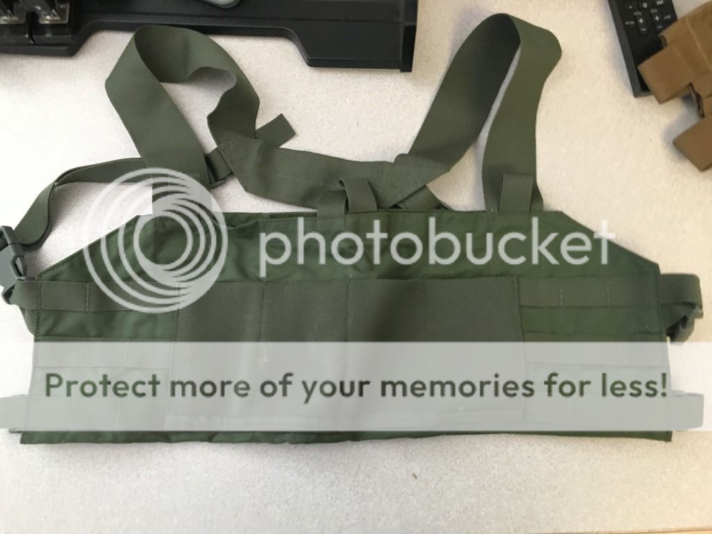 Safariland M&P holsters/BFG chest rig - Calguns.net